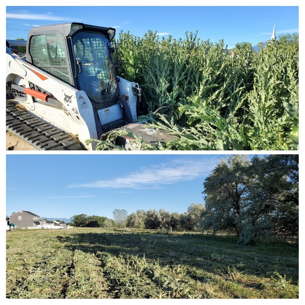 Field Mowing • CN Property Maintenance